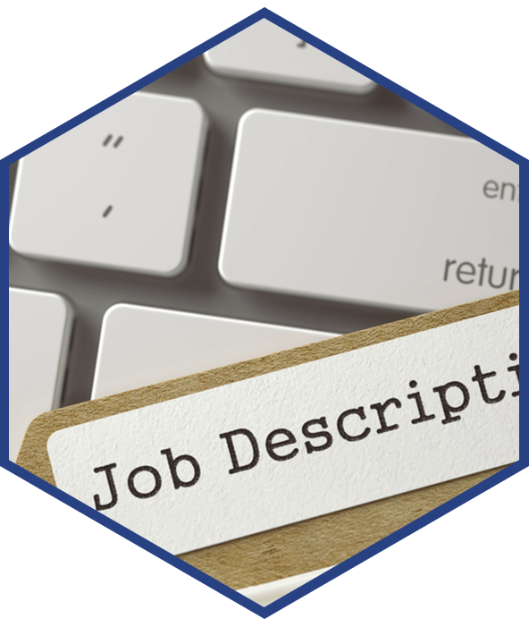 Everything You Want to Know about Entry-Level Work
